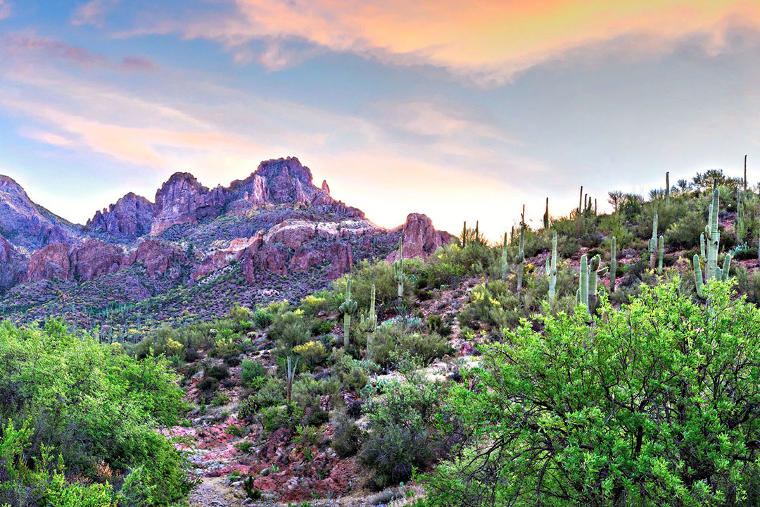 Help Your Clients Become Optum Arizona Patients | Optum